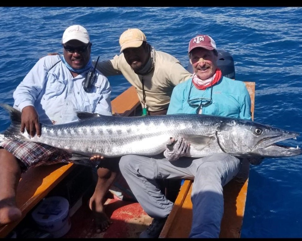 Barracuda Fish Mounts & Replicas by Coast-to-Coast Fish Mounts